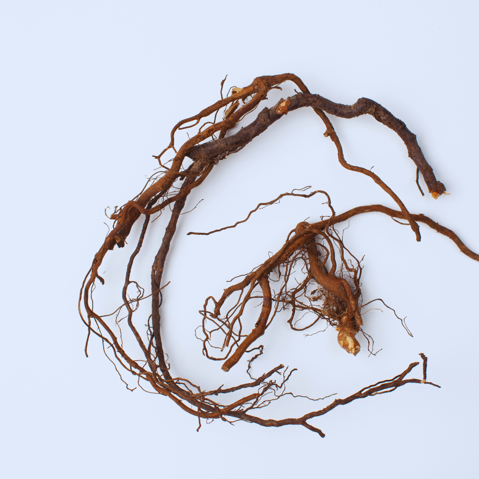 Peony Root – Kossma Beauty